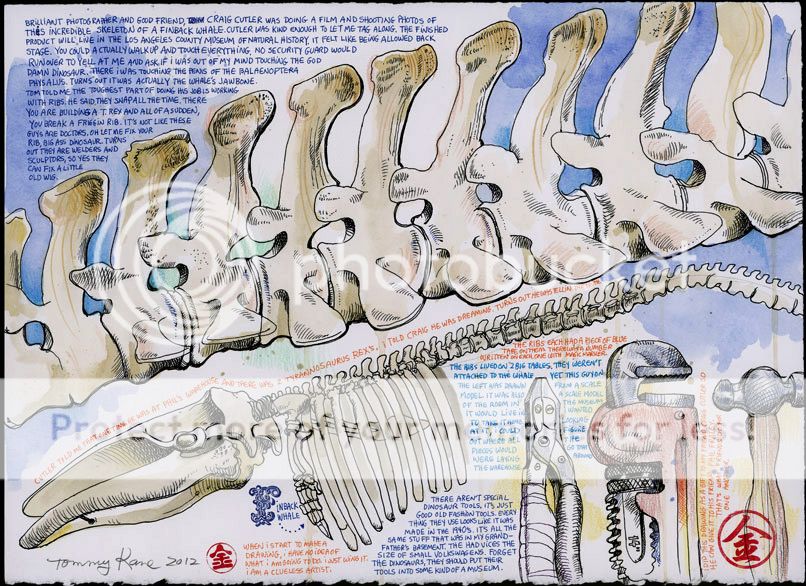 Bones Urban Sketchers