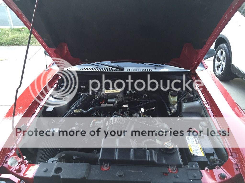 4.6 build | Ford Mustang Forum