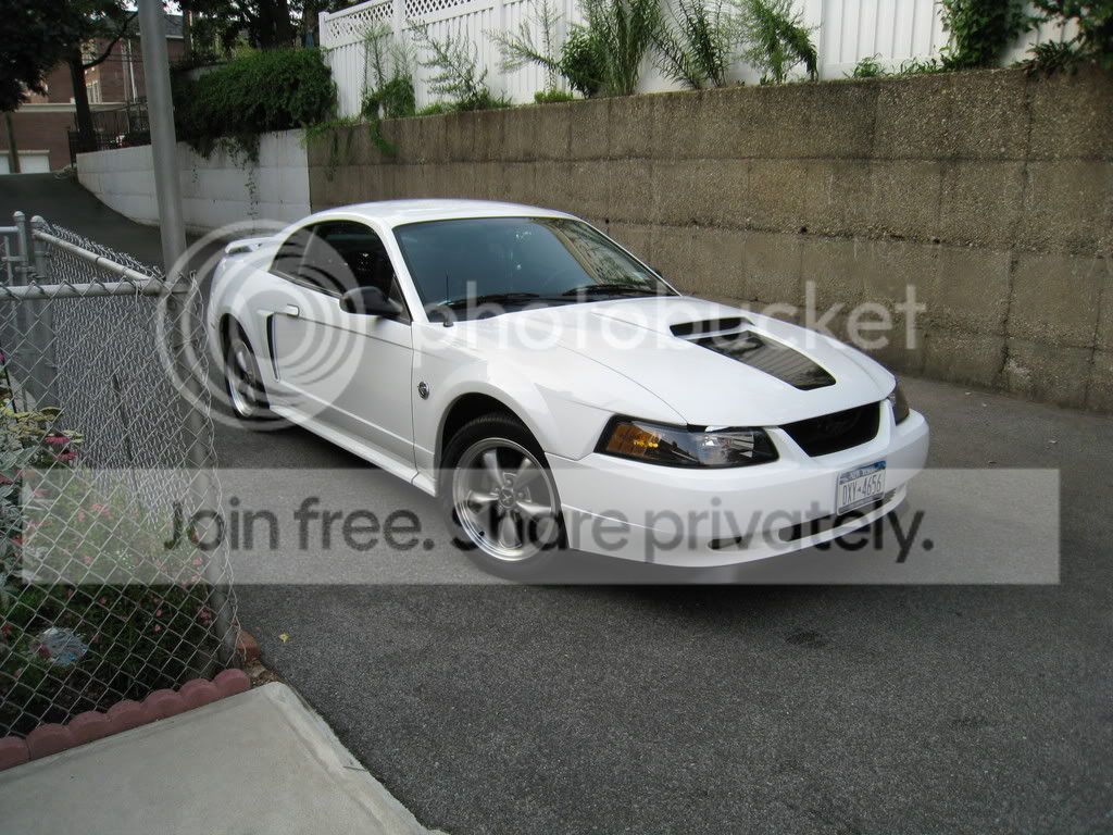 white new edge mustang pics - MustangForums.com