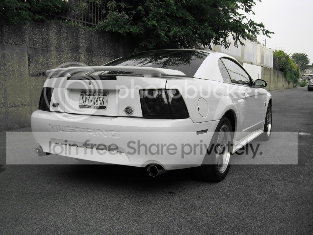 white new edge mustang pics - MustangForums.com
