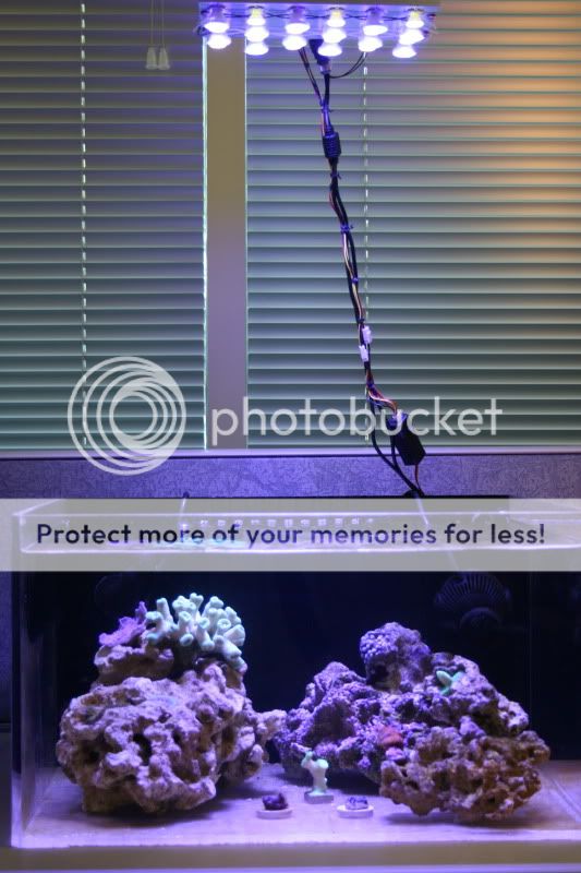 Nano Build - yerboy's 15 gallon rimless office tank | Reef2Reef