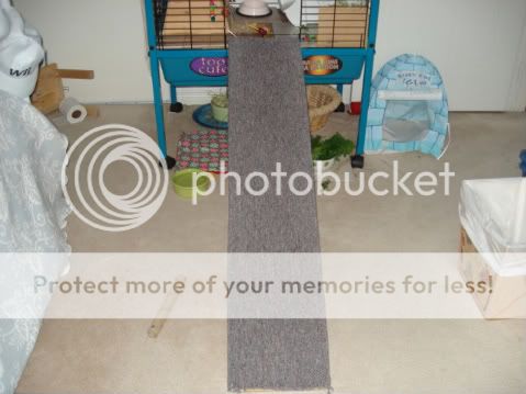 Ideas on making a bunny ramp? | Rabbits Online Pet Rabbit & Bunny Forum