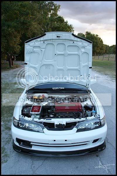Post White Integra Pics | Page 11 | Team Integra Forums