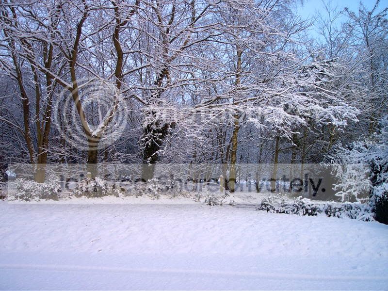 We have snow!!!!!!!!!!!!!!!! - Page 2 — Digital Spy