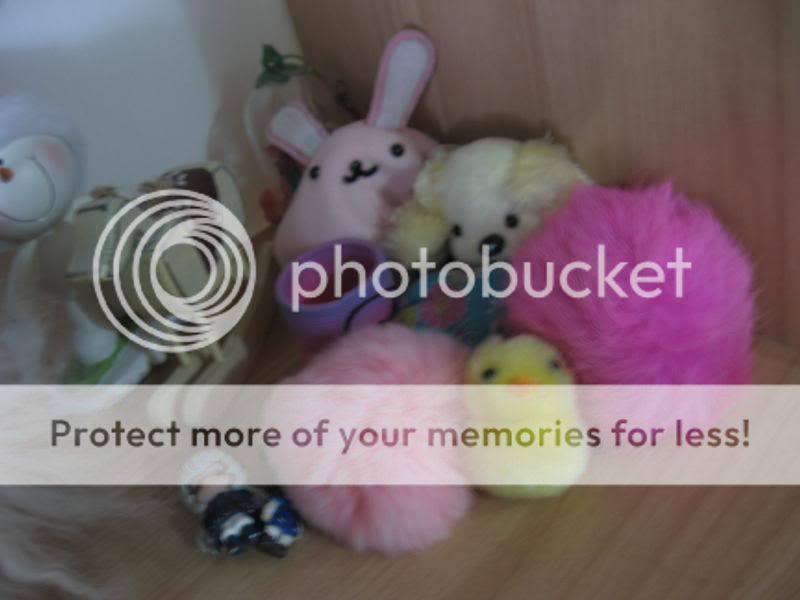 Puki Puki Quarters | Den of Angels