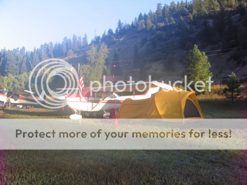 Droop Tip designs - Backcountry Pilot